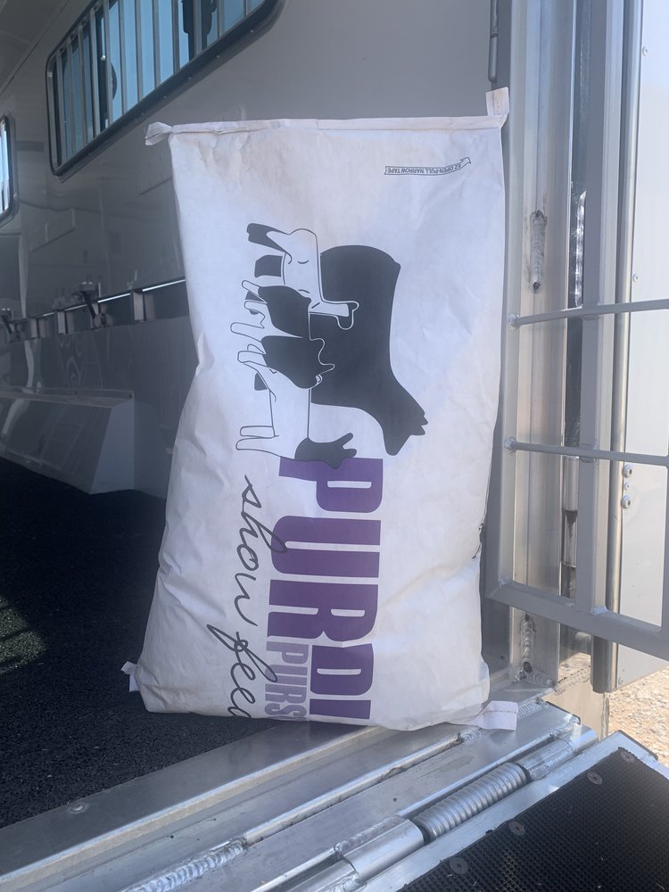 Gut Bomb | Swinfords