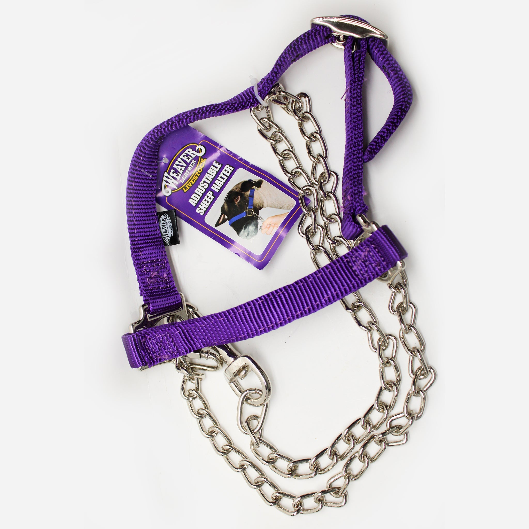 Weaver Nylon Adjustable Sheep Halter with Chain Lead | Swinfords